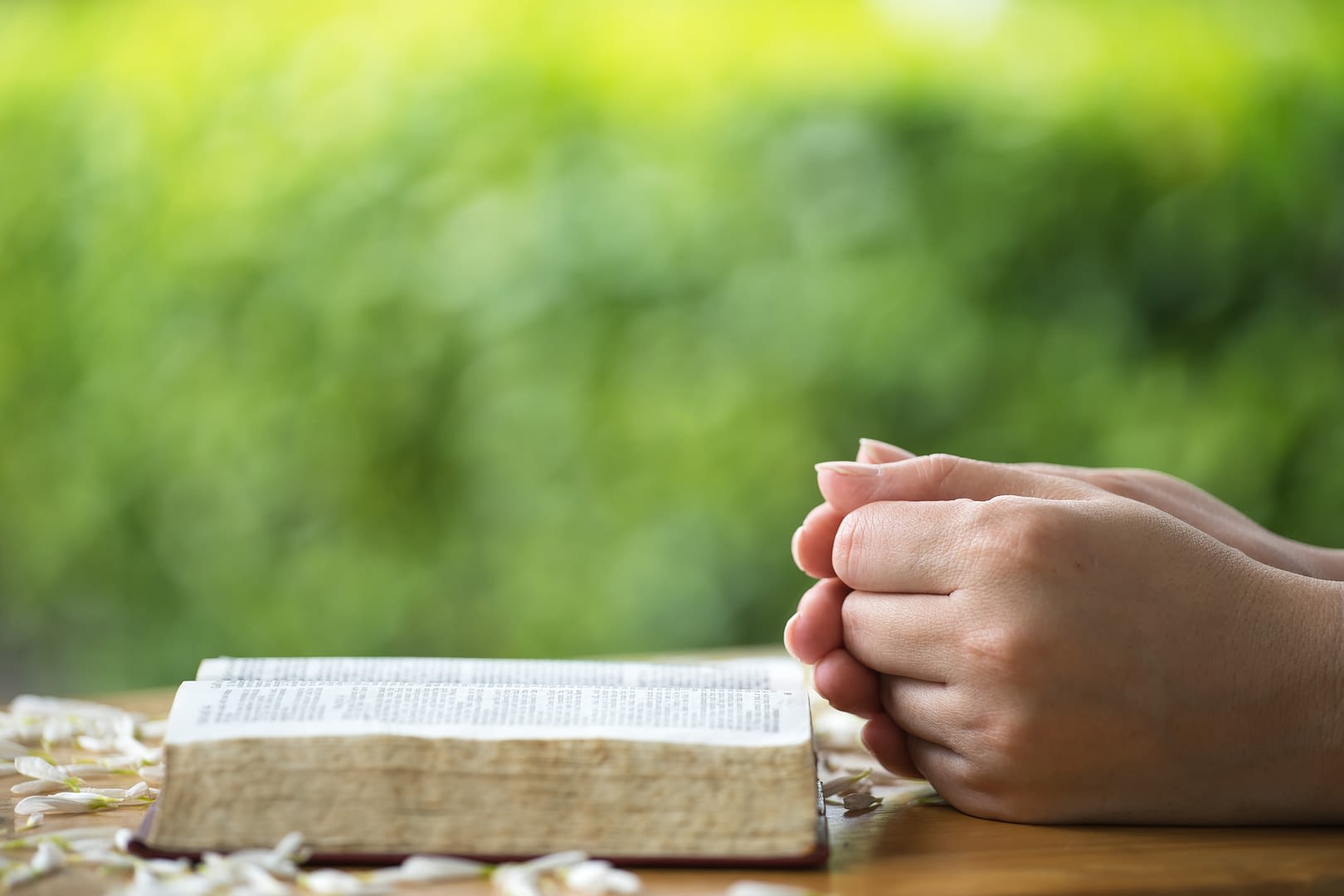 Esther Press | Christian Books, Articles & Resources for Women