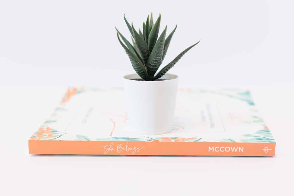 Best Bible Studies for Women: How to Empower Your Faith - Esther Press